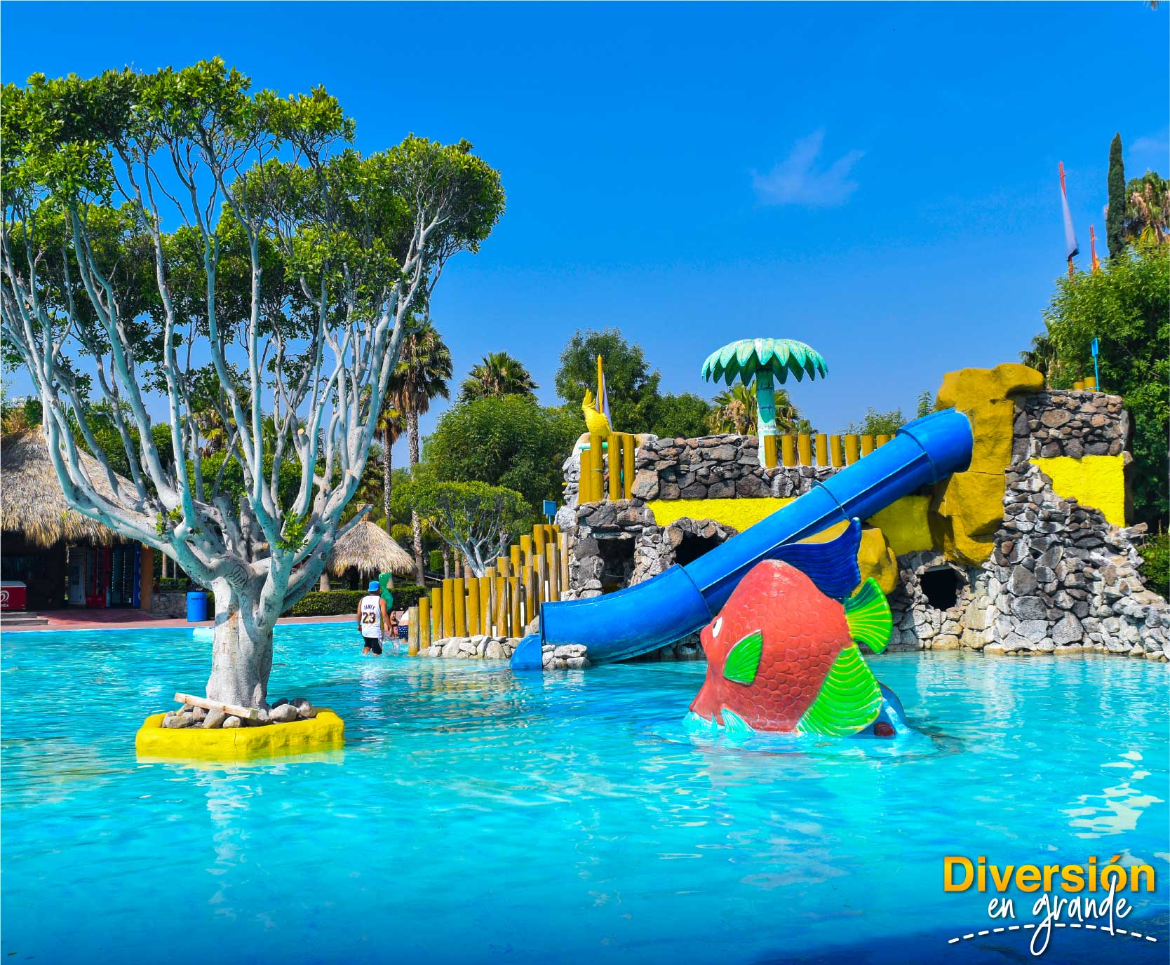 Parque Acuático | El Tephé